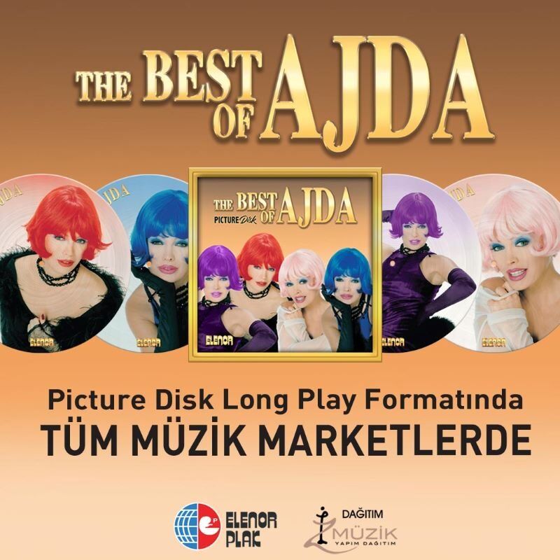 Ajda Pekkan The Best Of Ajda - Picture Disk I Plak Cenneti